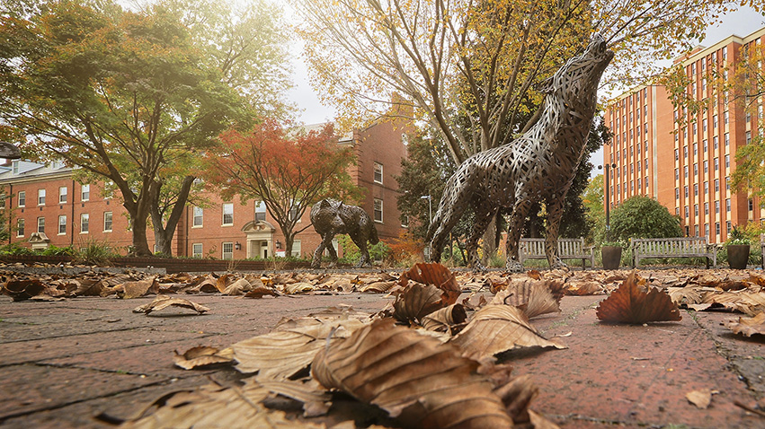 November 2020 Announcements | Provost | NC State University