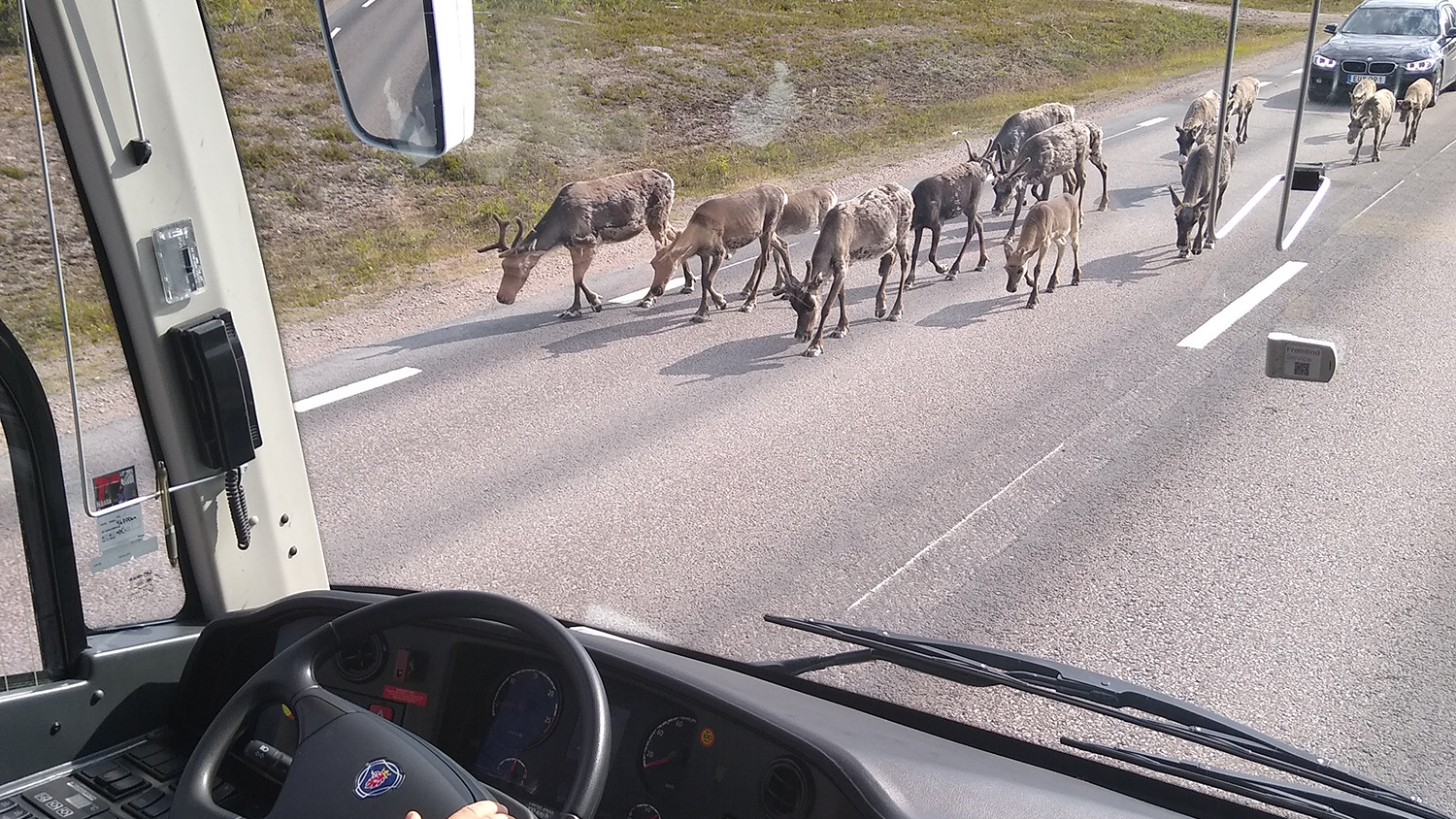 We Know What You Did This Summer | Executive Vice Chancellor and Provost