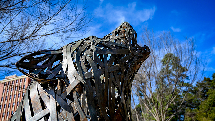Announcing Wolfpack 2030’s Three-Year Update | Executive Vice ...